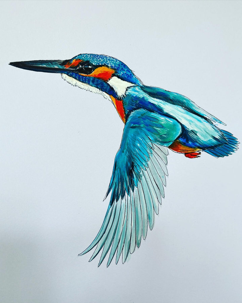 KINGFISHER FLYING ORIGINAL SKETCH – Sophie Long