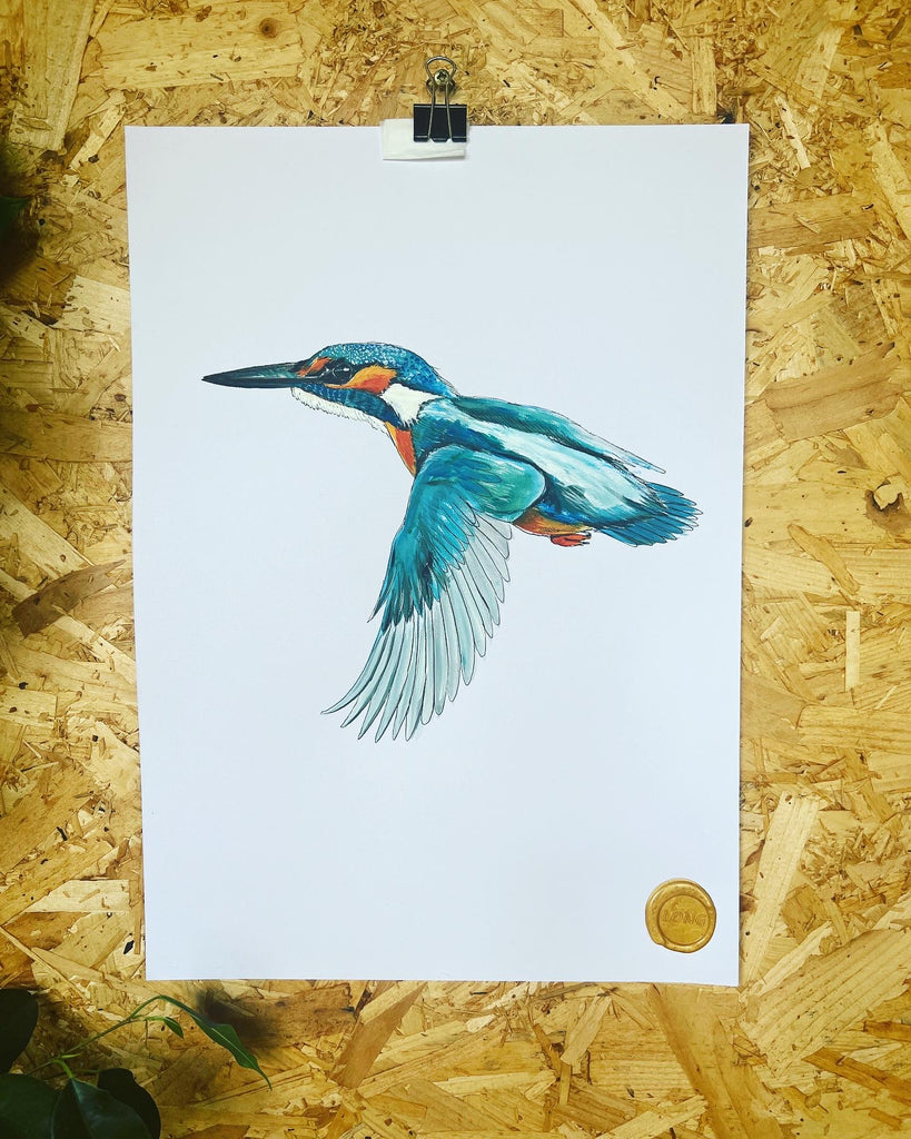 KINGFISHER FLYING ORIGINAL SKETCH – Sophie Long