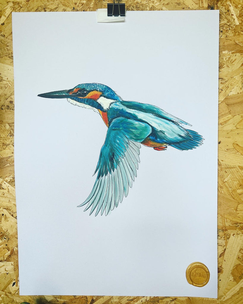 KINGFISHER FLYING ORIGINAL SKETCH – Sophie Long